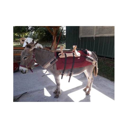 Bât pour âne 2BWBAT